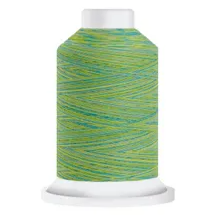 Harmony Variegated Cotton 40wt Thread – The Sewing Studio Fabric Superstore